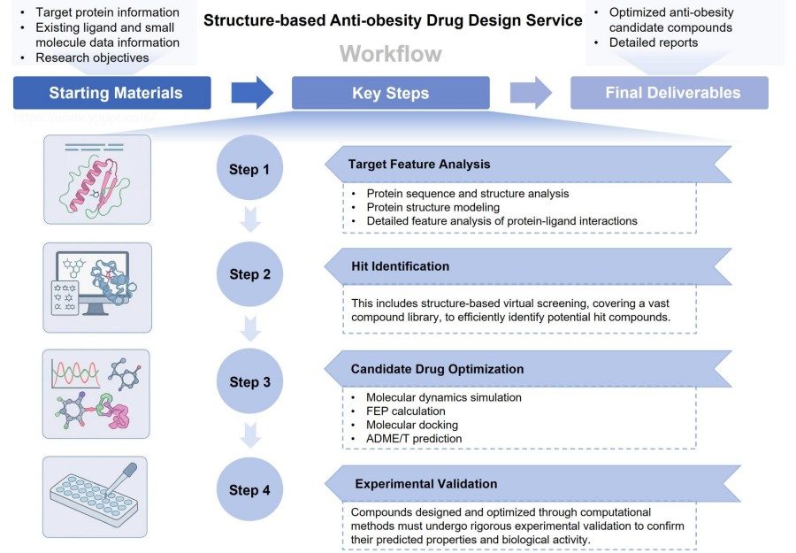 Structure-based Anti-obesity Drug Design Service - Protheragen